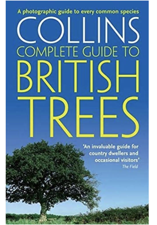 British Trees A Photographic Guide To Every Common Species Collins british-trees-a-photographic-guide-to-every-common-species-collins